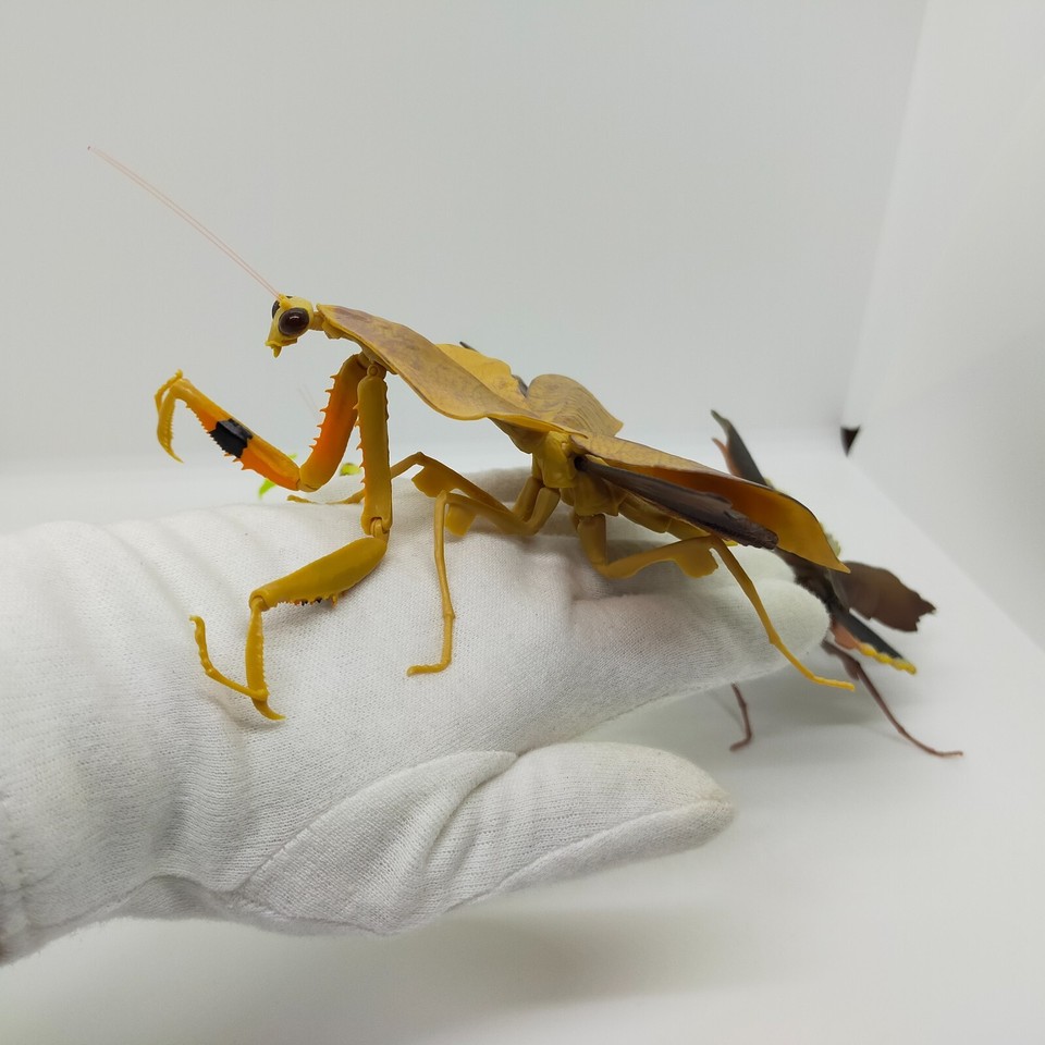 Bandai Gashapon Mantis Figure 4" to 5" Big Kamakiri Insect Bug Direct ...