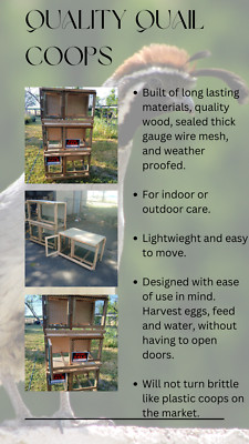 Quail Coop, Wood/Wire Mesh Quail housing with easy egg harvest system ...