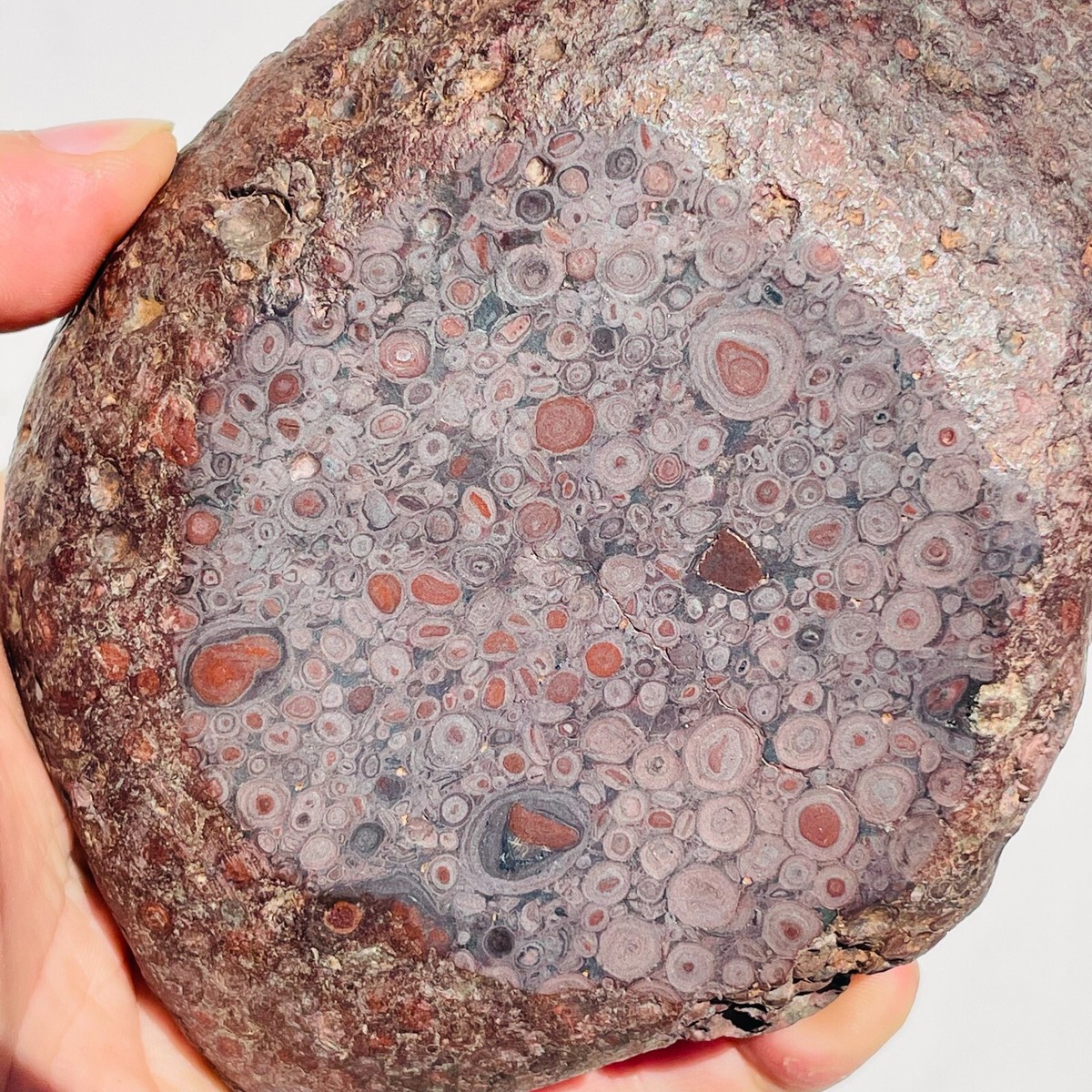 Oolite Mineral Oolitic Limestone Weldon