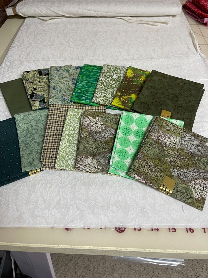 Shades of Green Complete Quilt Kit (Includes Top, Backing and Bindimg ...
