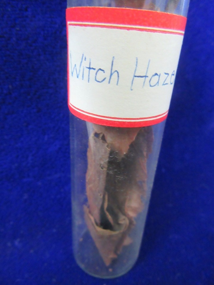 ANTIQUE VINTAGE GLASS APOTHECARY BOTTLE DRUG OLD LABEL WITCH HAZEL ...