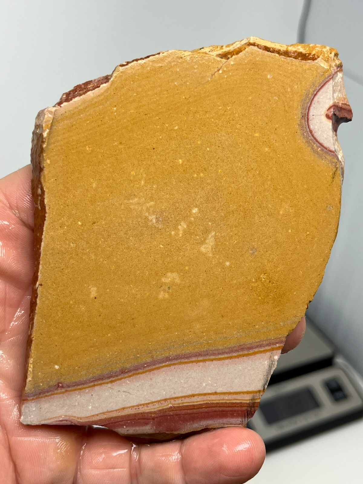 Wonderstone Rhyolite Slab for cabbing carving Chakra Reiki from Utah | eBay