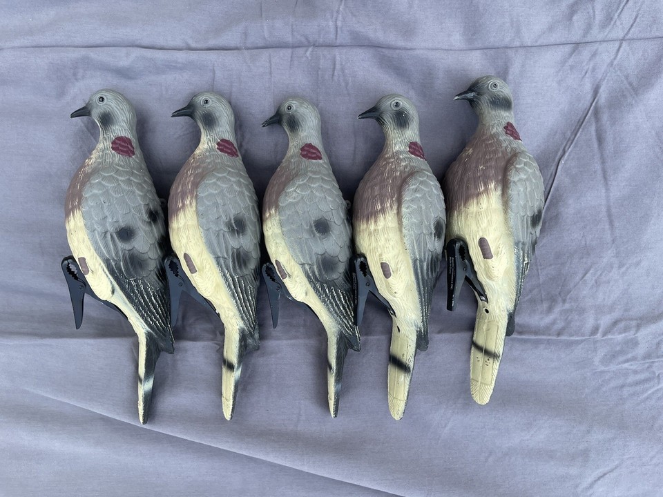 Vintage Expedite International Inc. Dove Decoy x5 Realistic Clip On | eBay