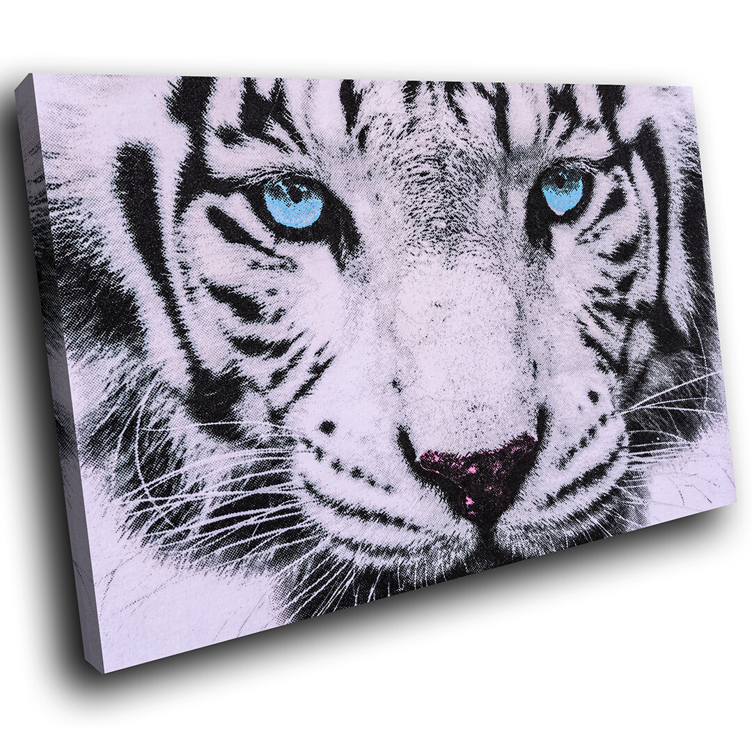 Grey Tiger Hd Grey Tiger 1080P, 2K, 4K, 5K HD Wallpapers Free Download