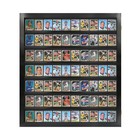 Baseball Card Display Case Sports Card Display Frame Lockable - 70 ...