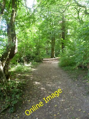 Photo 12x8 Croham Hurst Croydon/TQ3365 The top most point of Croham ...