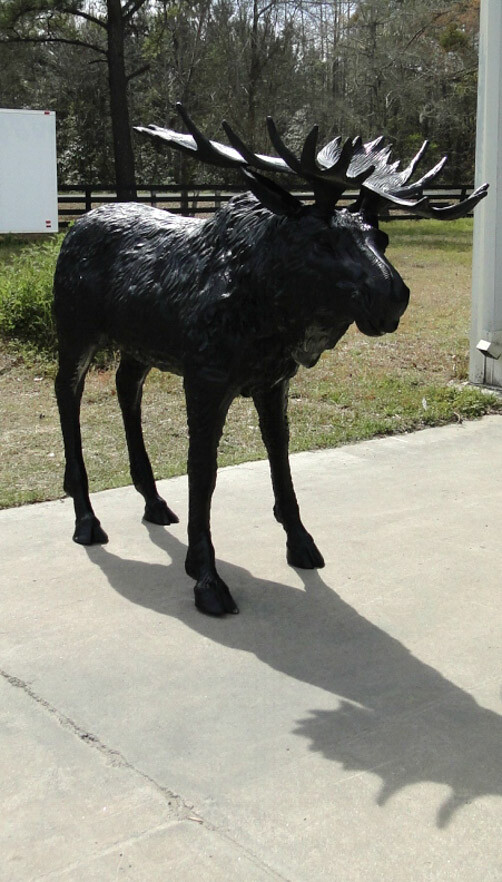 Life Size Alaskan Moose Sculpture in Bronze Finish Huge Antlers | eBay