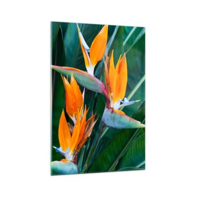 Impression sur Verre 70x100cm Tableaux Image Photo Céleste Oiseau Fleur ...