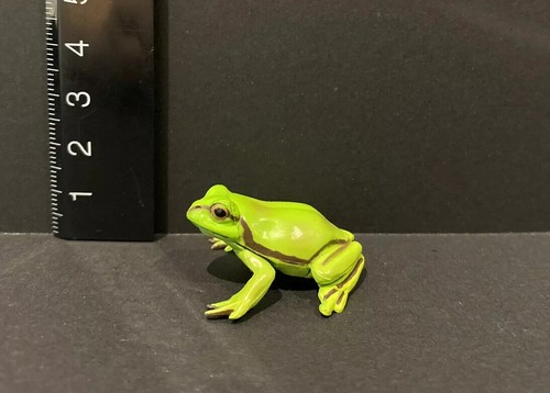 Kaiyodo Animatales Choco Q Series 1 Japanese Tree Frog Figure | eBay