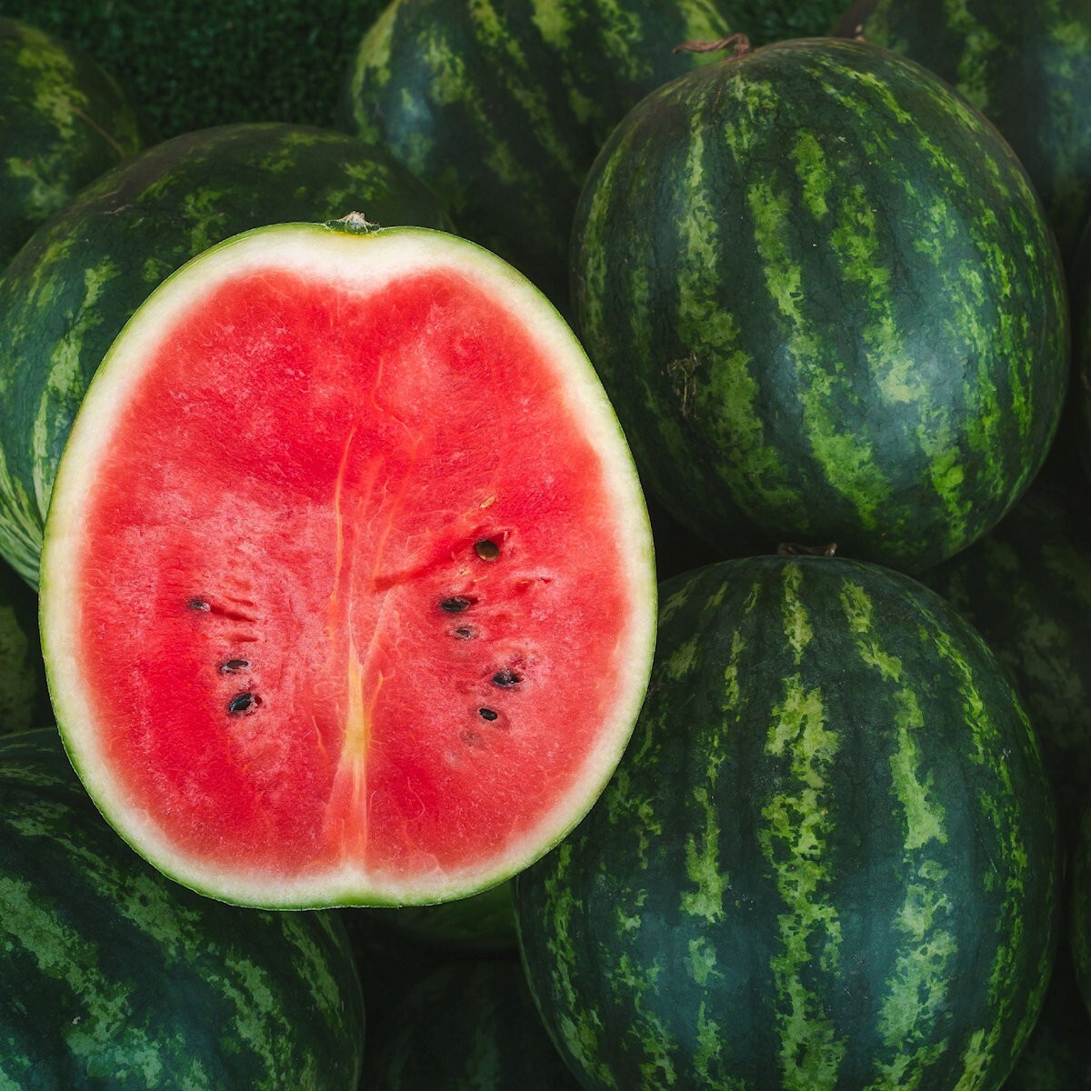 How Big Is 1 Pound Of Watermelon Fresh Watermelon Slices 4 Pound