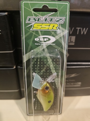 OSP Blitz SSR HU-09 Tasty Perch Super Shallow Runner Crankbait | eBay