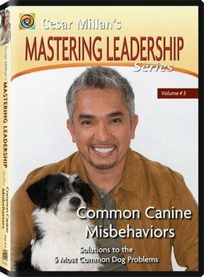 Cesar Millan's: Mastering Leadership: Volume 5 (DVD, 2009) NEW | eBay