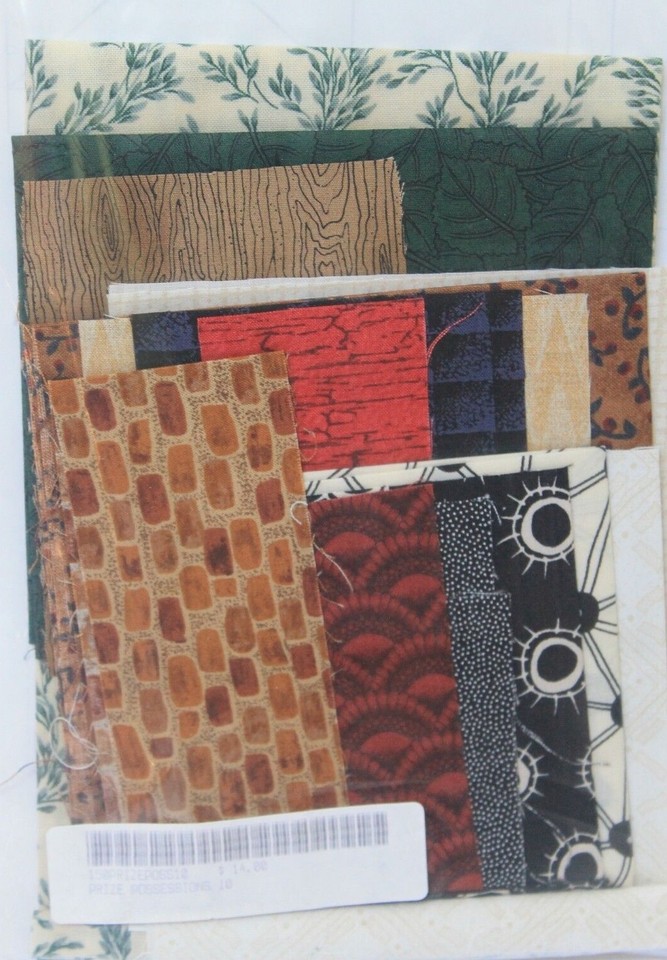 Quiltessentials Block Month #10 Prize Possession Quilt Wendy Hager ...