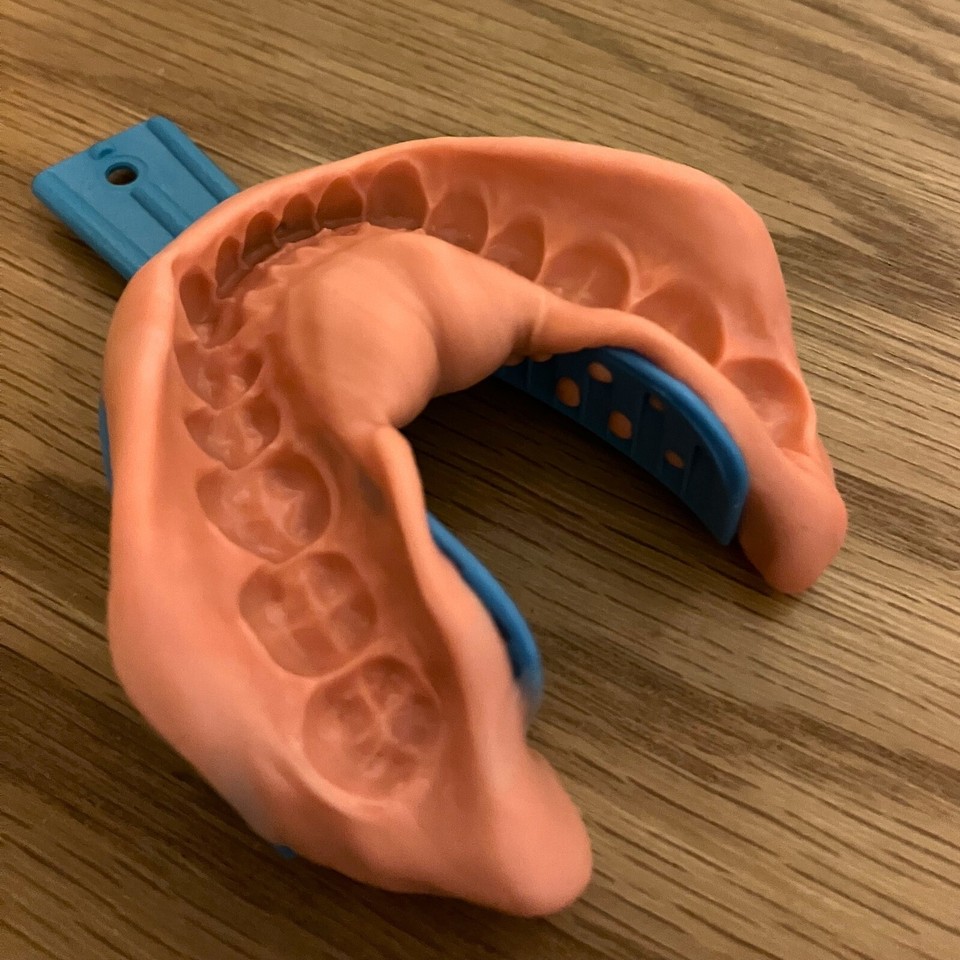 Dental Impression Putty, Normal-Setting VPS HYDRO Putty 40g (base ...