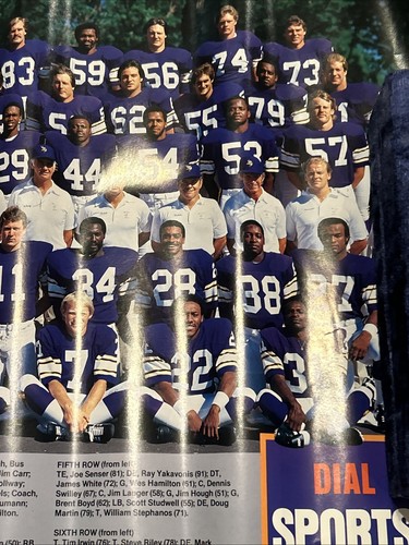 Vintage 1981 NFL Minnesota Vikings Team Poster 20" x 17" RARE | eBay