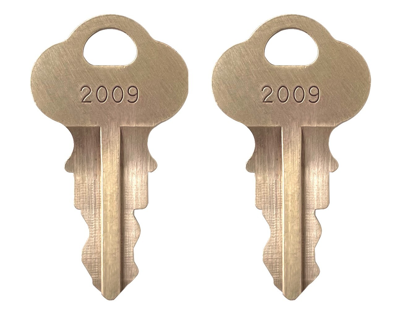 2 Keys Lockswitch H2009 for CORNELIUS Soda Fountain Beverage Dispenser ...