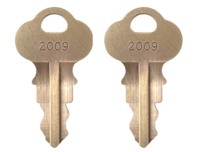 2 Keys Lockswitch H2009 for CORNELIUS Soda Fountain Beverage Dispenser ...