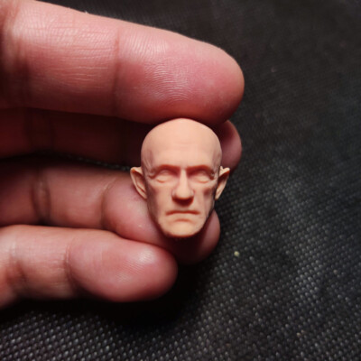 Blank 1/10 Scale The Breaking Bad Mike Head Sculpt Unpainted Fit 7 ...