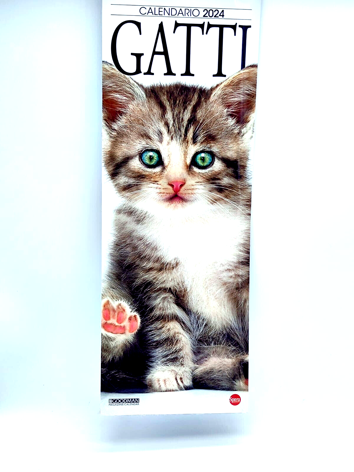 GOODMAN CAT CALENDAR 2024 | eBay