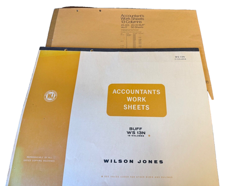 2 Accountants Work Sheets 13 Columns 50 Sheet Pads 14 x 17 Buff ...