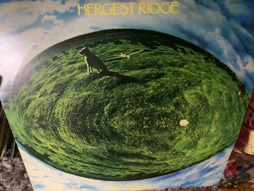 Mike Oldfield - Hergest Ridge - Vinyl LP Album - 1974 Virgin V2013 - VG ...