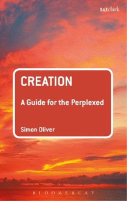 Simon Oliver Creation: A Guide for the Perplexed (Poche) | eBay