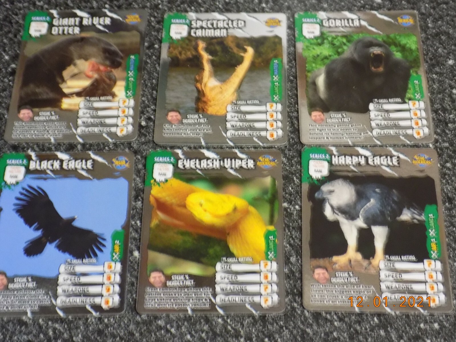 Deadly 60 CBBC Trading Cards - see list | eBay UK