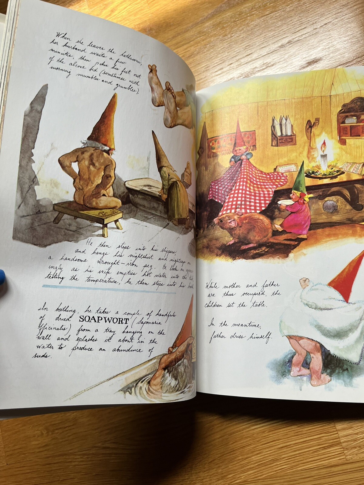 Gnomes by Wil Huygen (1977, Hardcover, Anniversary) for sale online | eBay