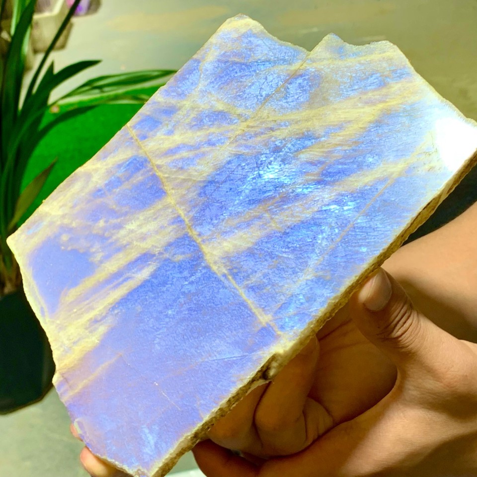 1.13LB Natural Flashy blue Moonstone Sunstone Crystal Slab Specimen/Sri ...