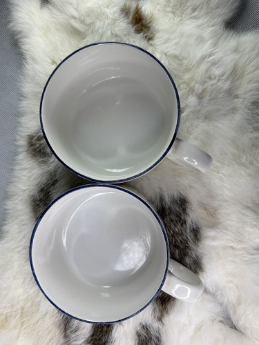 Vintage Rosenthal Netter Blue Goose / Geese Soup Mugs 14 oz EUC Cottage ...