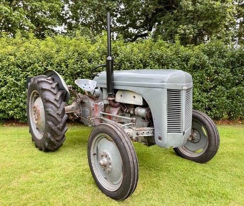 1951 Ferguson TED-20 Grey Fergy Vintage Tractor | eBay UK