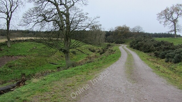 Photo 6x4 Road to Blackhill Wood Cleish A well built road heads towards ...