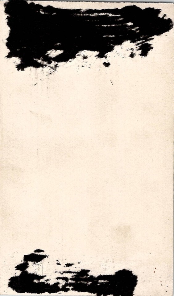 Mature Flapper Woman Sitting on Grass Prairie Americana 1920s Vintage ...