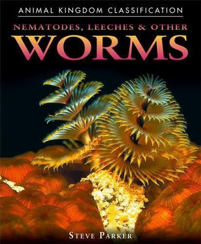 Nematodes, Leeches, and Other Worms [Animal Kingdom Classification ...