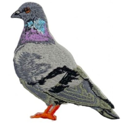 Rock Dove Pigeon Applique Patch - Embroidered Bird Badge 2.5" (Iron On ...