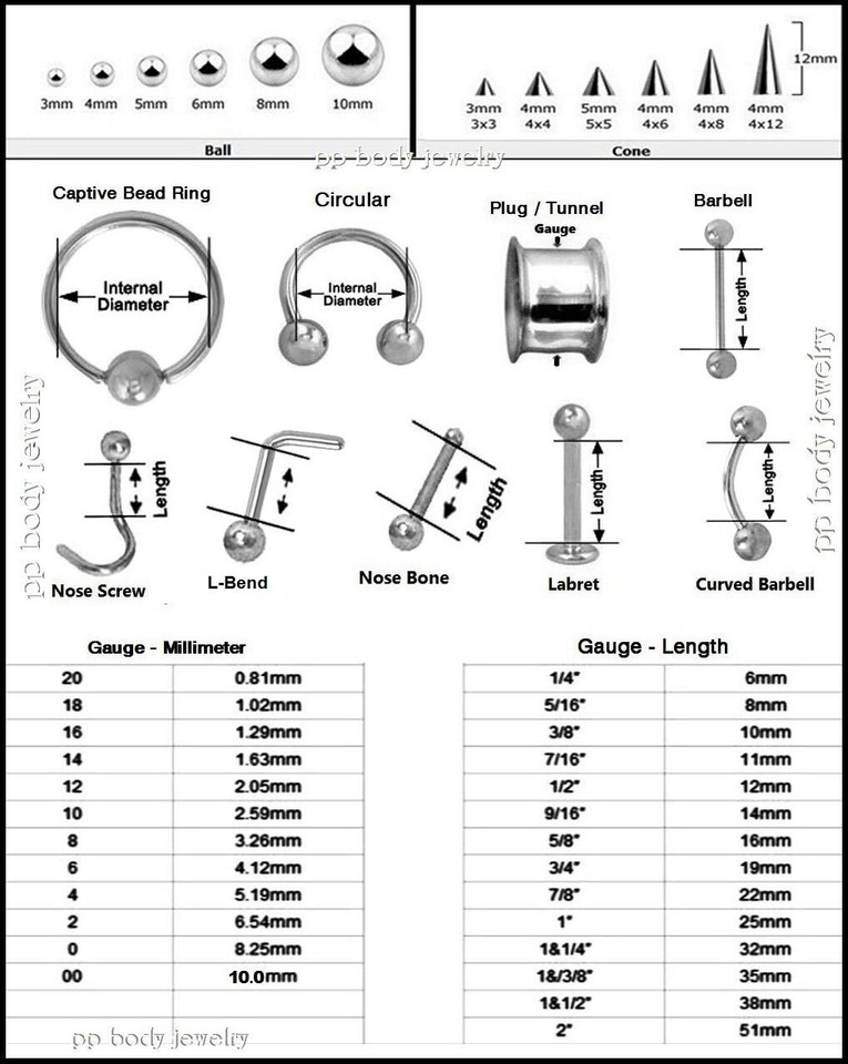 PAIR Surgical Steel Captive Bead Ring Earring Septum 12G to 00G 5/16 ...