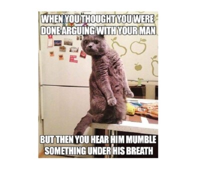 996 - Very Funny Cat Meme Humor Fridge Refrigerator Magnet | eBay UK