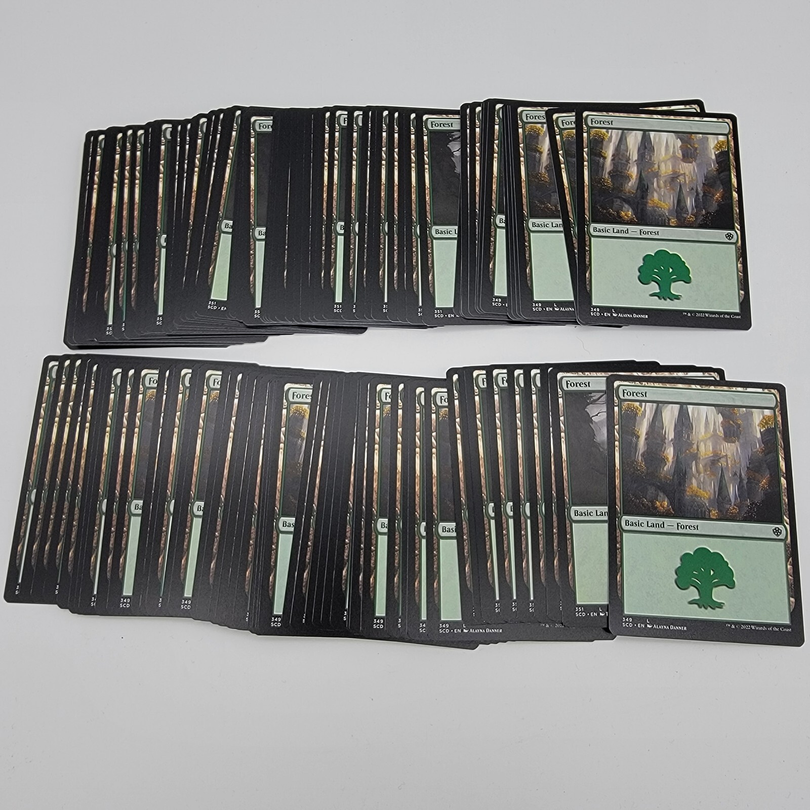 100 Magic the Gathering FOREST ONLY Basic Land Cards Lot - MTG FTG | eBay