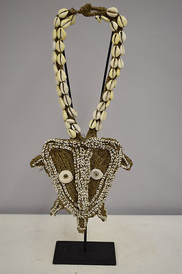 Papua New Guinea Necklace Nassa Cowrie Shells | eBay