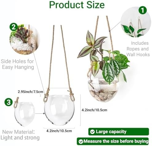 Glass plant propagation station with bowls. | eBay