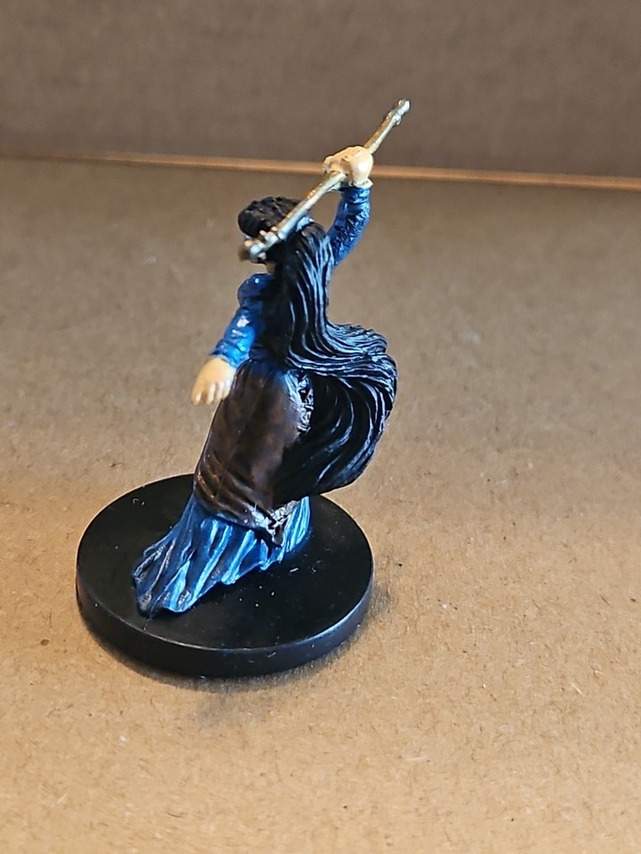 Dungeon & Dragons: Human Female Wizard- 1/18- D&D Heroes WOTC RPG 2009 ...