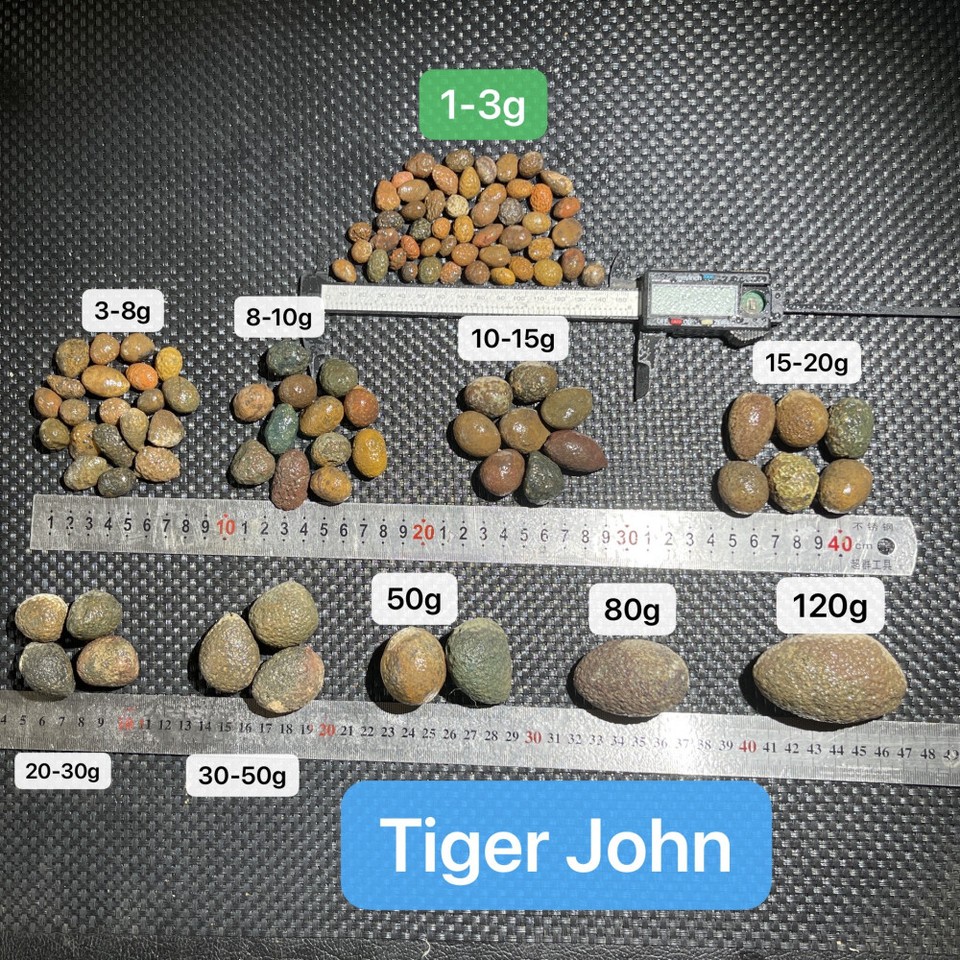 natural rough Uncut China Agate Achat Nodule crystal Specimen cave ...