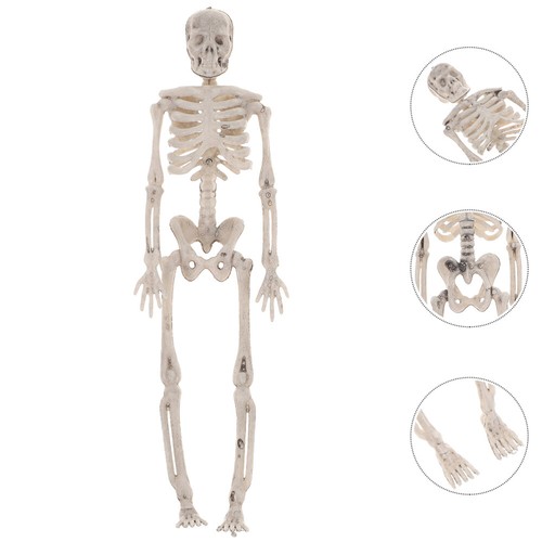 5 Pcs Mini Skeleton Plastic Simulated Bones Figurines Body Model | eBay