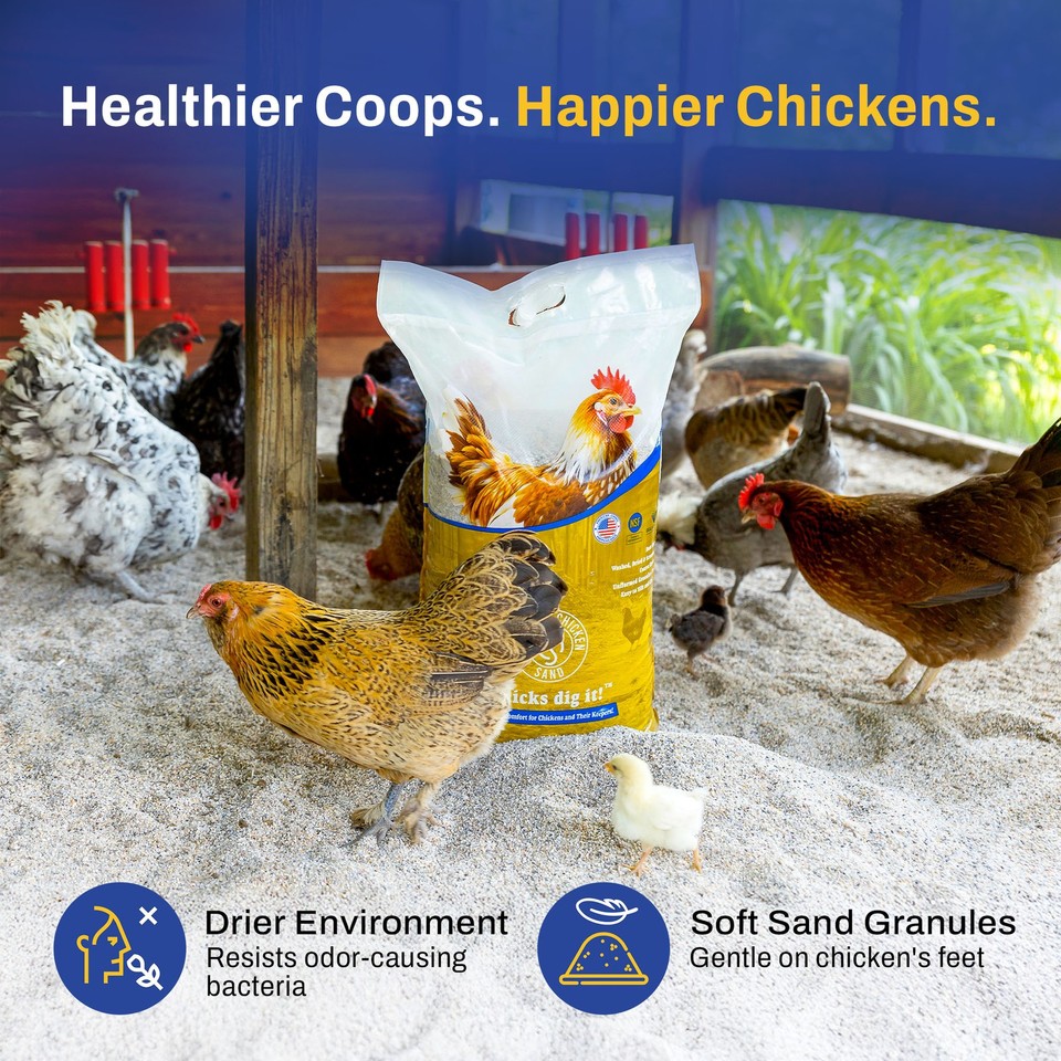 Premium Chicken Sand, Odor Eliminating Bedding for Coops, 50 Lb Bag, 2 ...