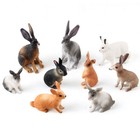 9 Pcs Bunny Rabbit Figurines Farm Animal Model Toy Desktop&Home ...