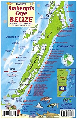 Ambergris Caye Belize Dive Map & Reef Creatures Waterproof Fish Card | eBay