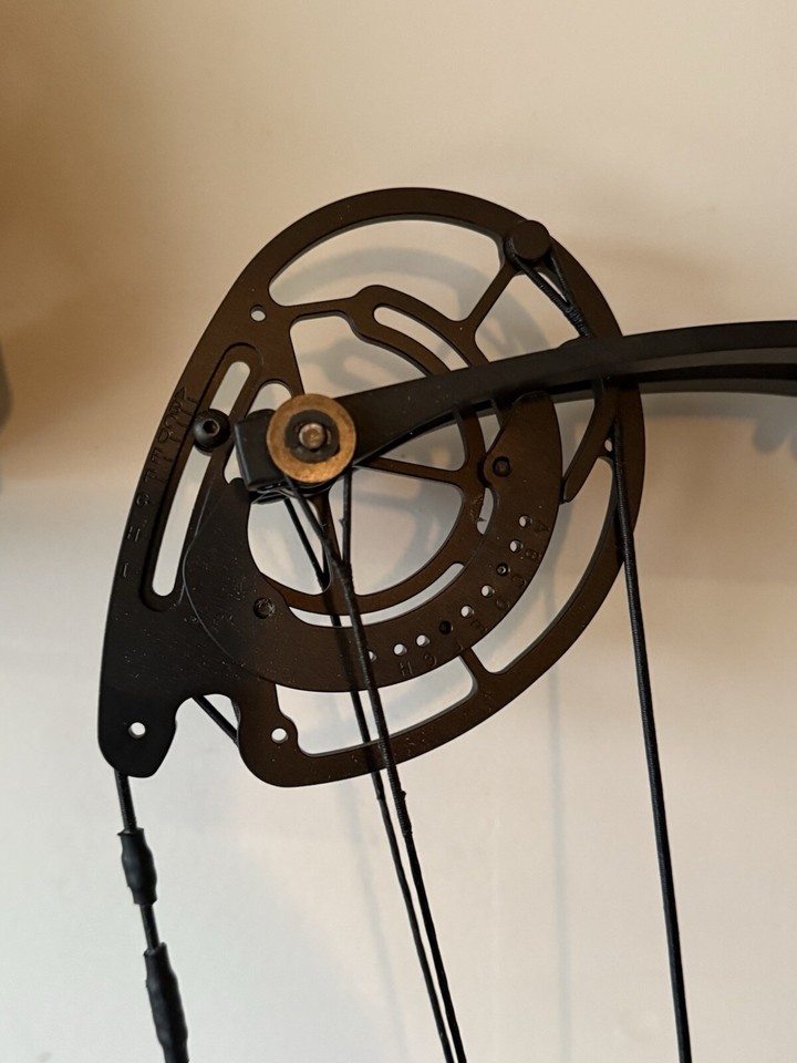 Xpedition Archery APX 70lb Bow | eBay