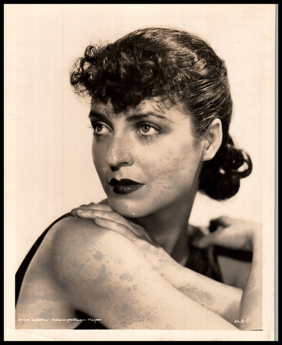 Hollywood Beauty ANN LORING STUNNING PORTRAIT STYLISH POSE 1930s Photo ...