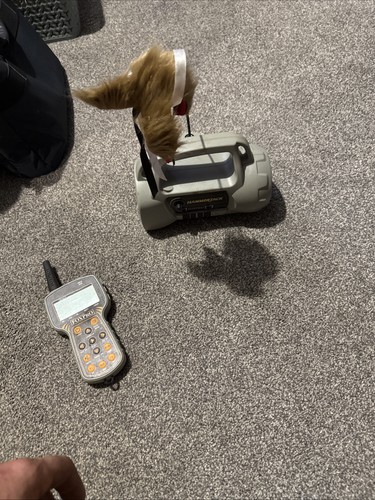 Foxpro FX3 Remote Caller + Teaser | eBay UK