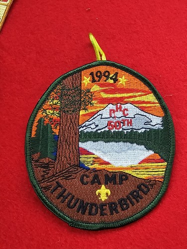Vintage Boy Scouts Patch 1994 Camp Thunderbird PHC 50th | eBay